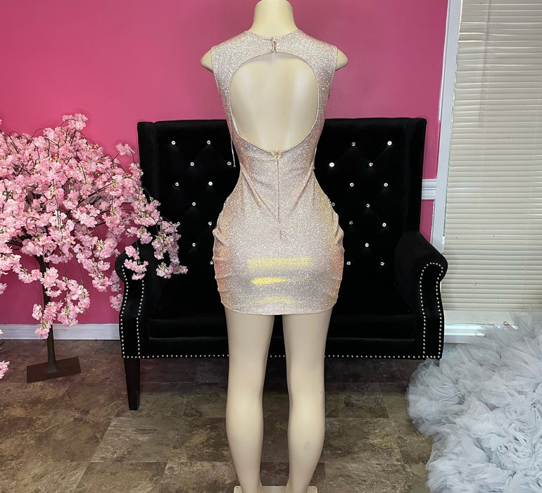 The House of Avid – HouseofAvid